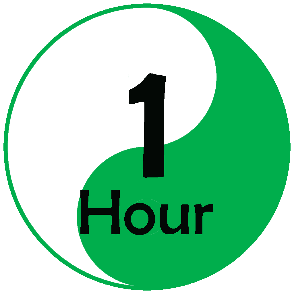 Manual 1 Hour Zen Zone Manual 1 Hour Zen Zone